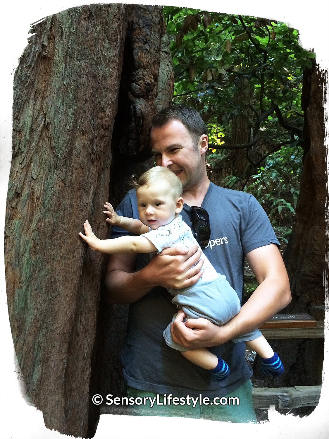 Exploring outdoors: Sensory Experiences at your fingertips » Sensory ...