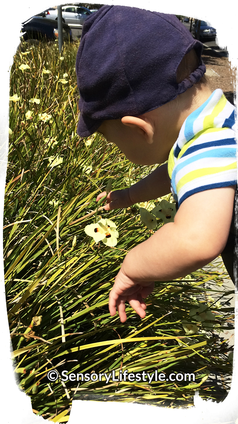 Exploring outdoors: Sensory Experiences at your fingertips » Sensory ...