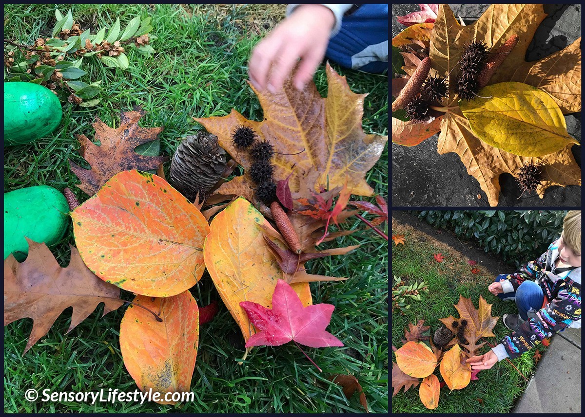 Leaf-exploration » Sensory Lifestyle